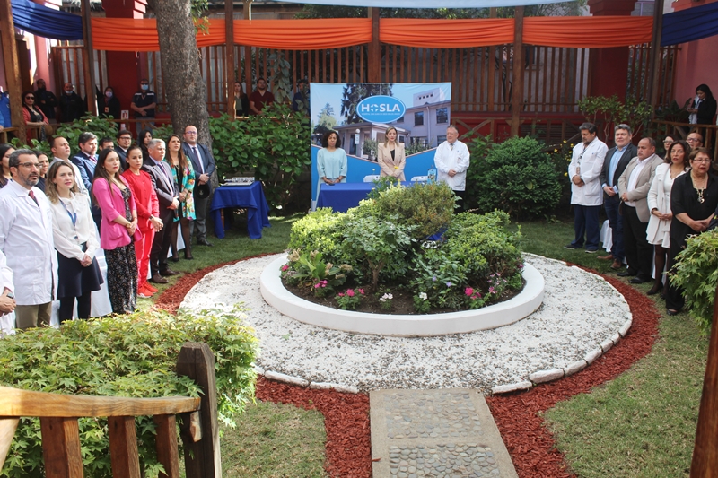 Andes on line | Disminuir listas de espera y concretar proyectos, los ...