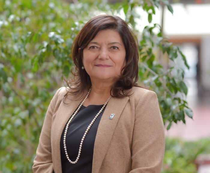 Andes on line | Día Internacional de la Eliminación de la Violencia ...